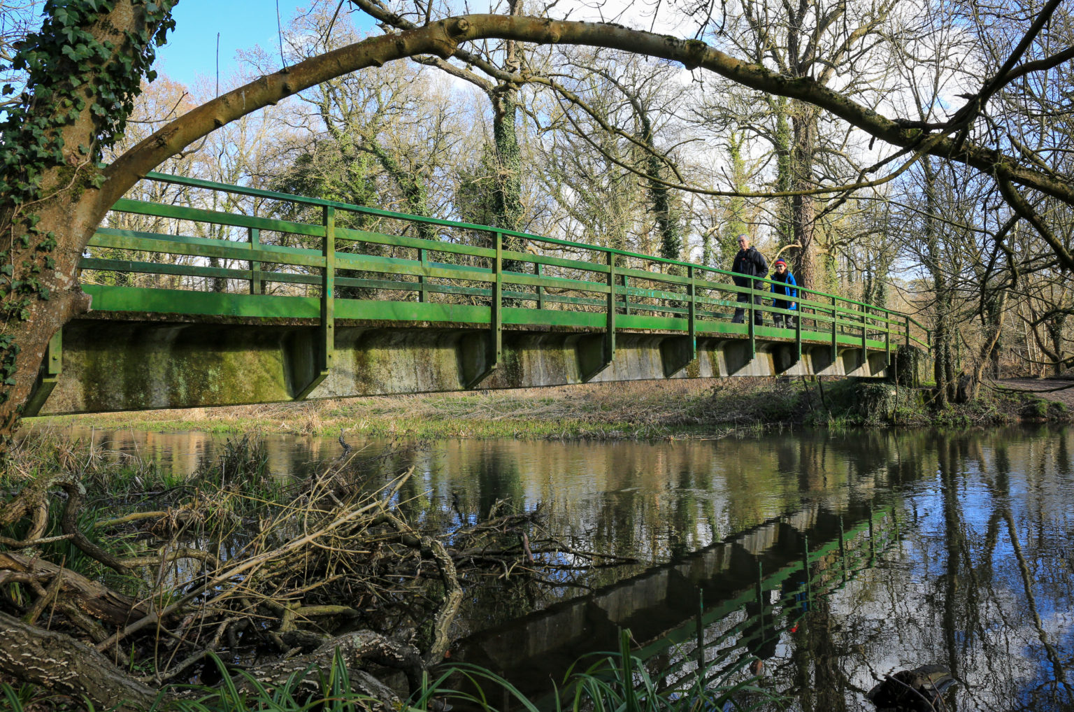 The Bridges - Friends of Cassiobury Park